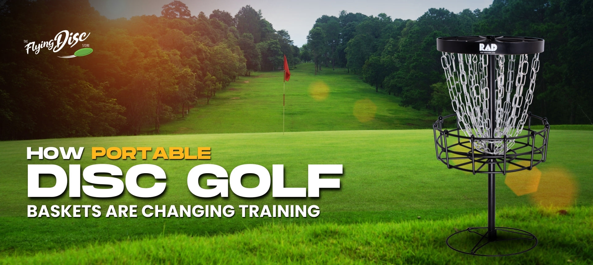 How Portable Disc Golf Baskets Are Changing Training - Flying Disc Store