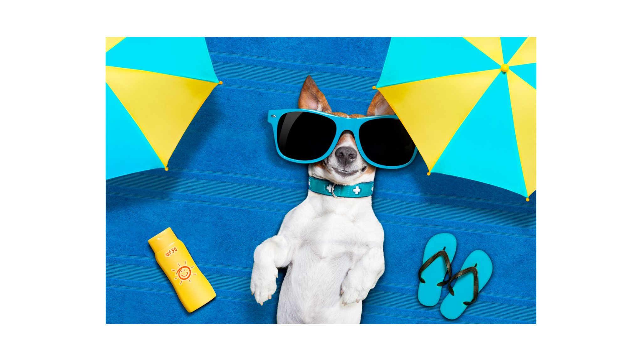 Discover the Joy and Connection of Frisbee - Flying Disc Store